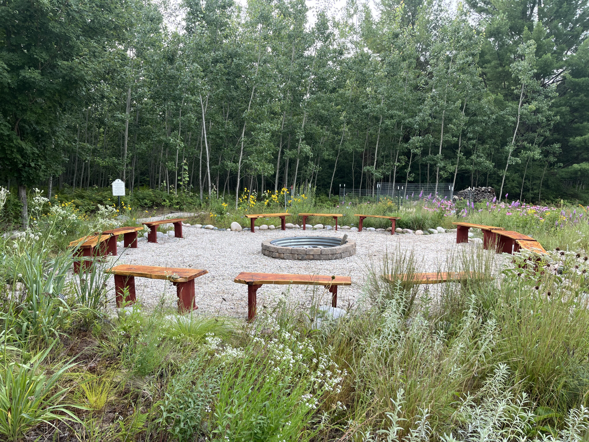 Michigan Native Plant Vendors - Wild Ones River City - Grand Rapids ...